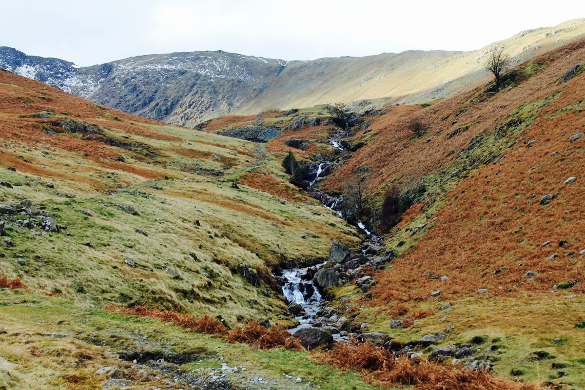 A guide to fell walking – Wattle and Ash