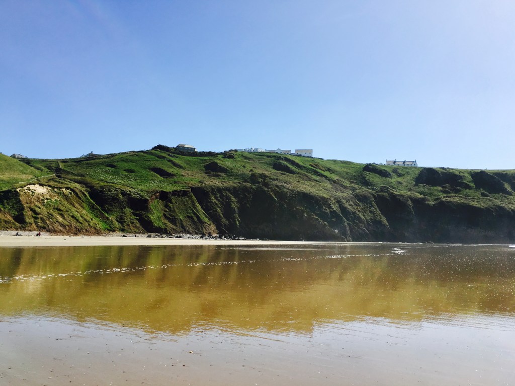 Glorious Gower – Wattle and Ash
