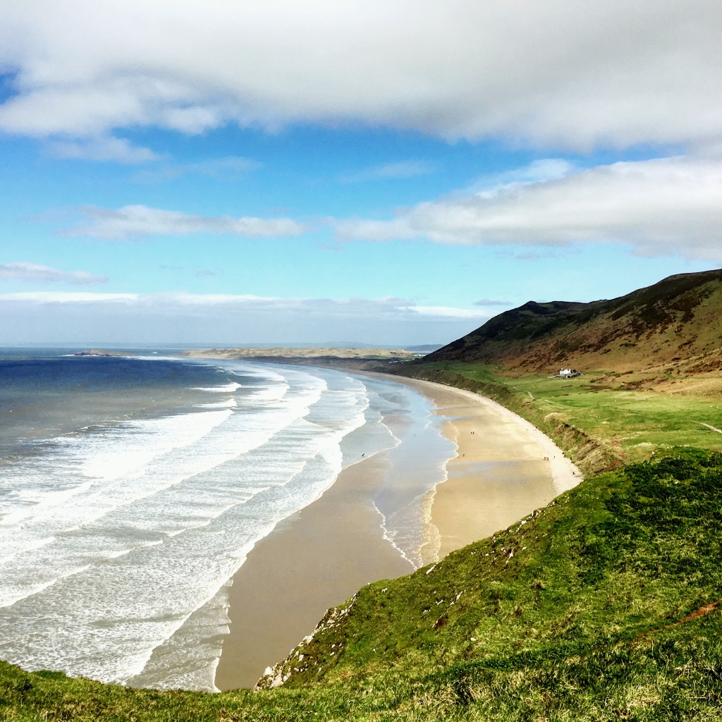 Glorious Gower – Wattle and Ash