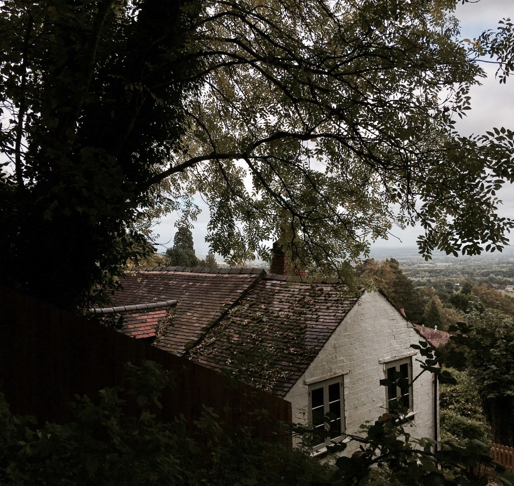 Holywell Road – Wattle and Ash