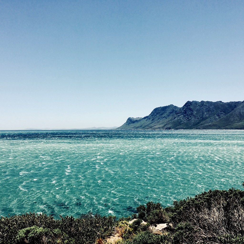 Welcome to the Western Cape – Wattle and Ash