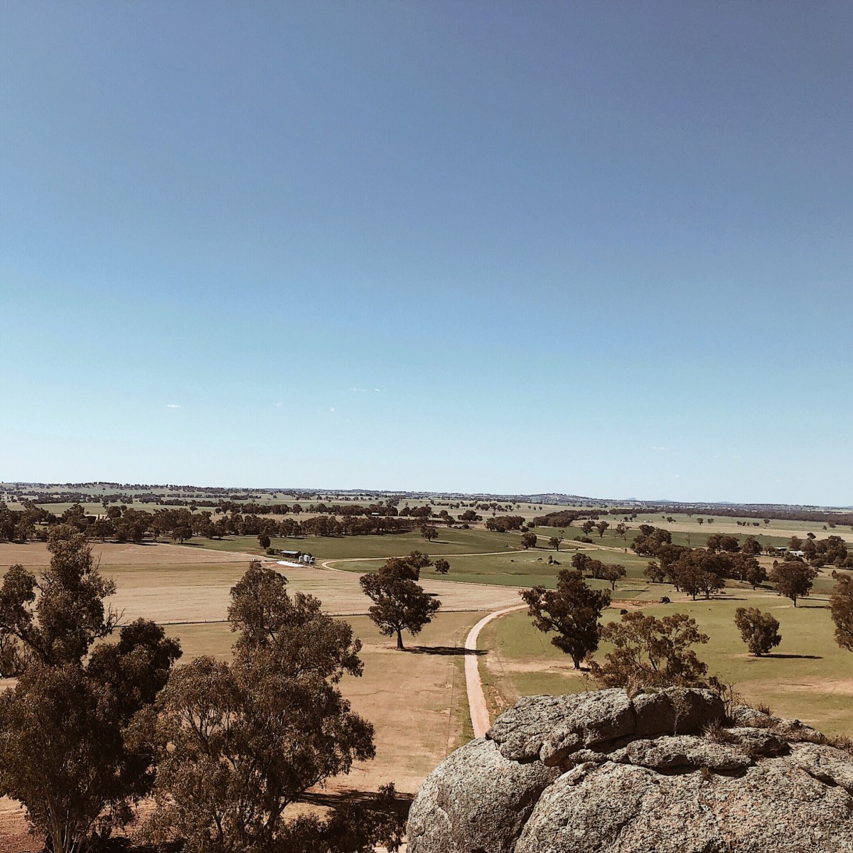 Local life: Morgan’s lookout – Wattle and Ash
